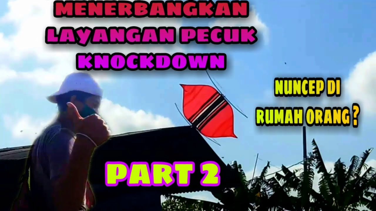 Menerbangkan layangan pecuk knockdown - YouTube