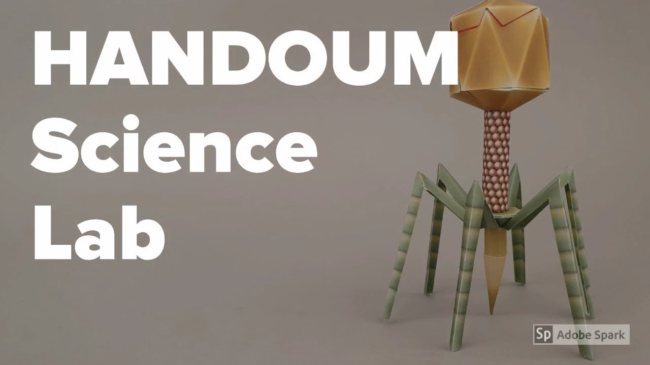 종이 박테리오파지 만들기!(MAKE! paper bacteriophage) - YouTube