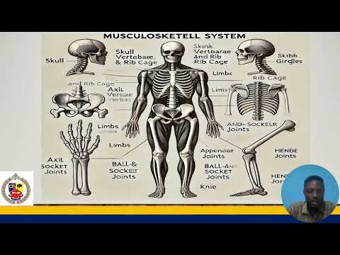 ANA 201 Anatomy of Upper and Lower Limbs