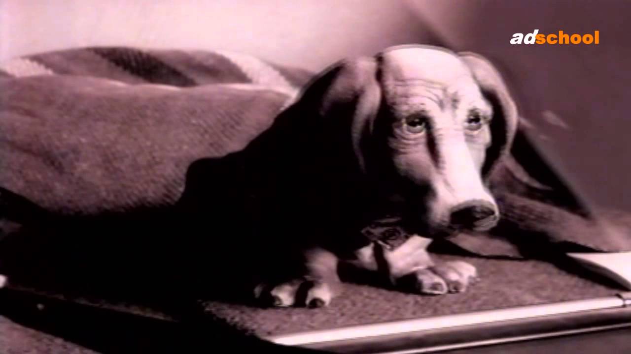 Intercity Trains - Wrong way - Rail Way - YouTube