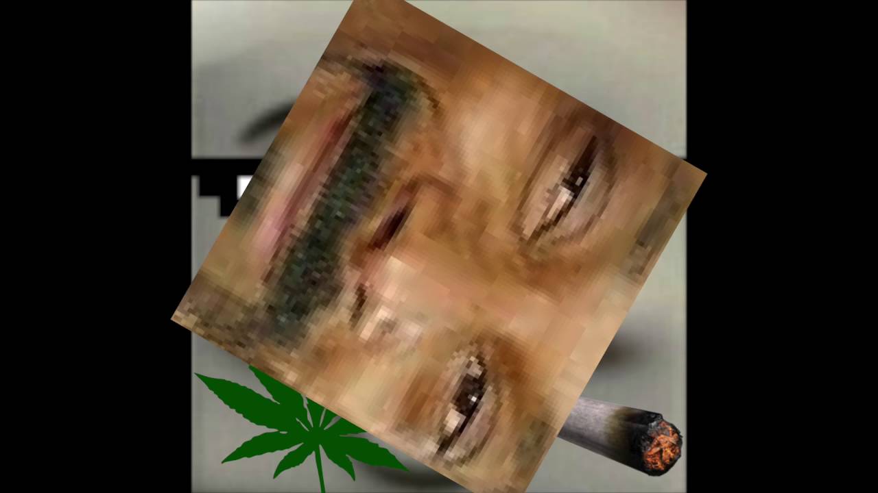 MLG Smoke Weed Everyday - YouTube