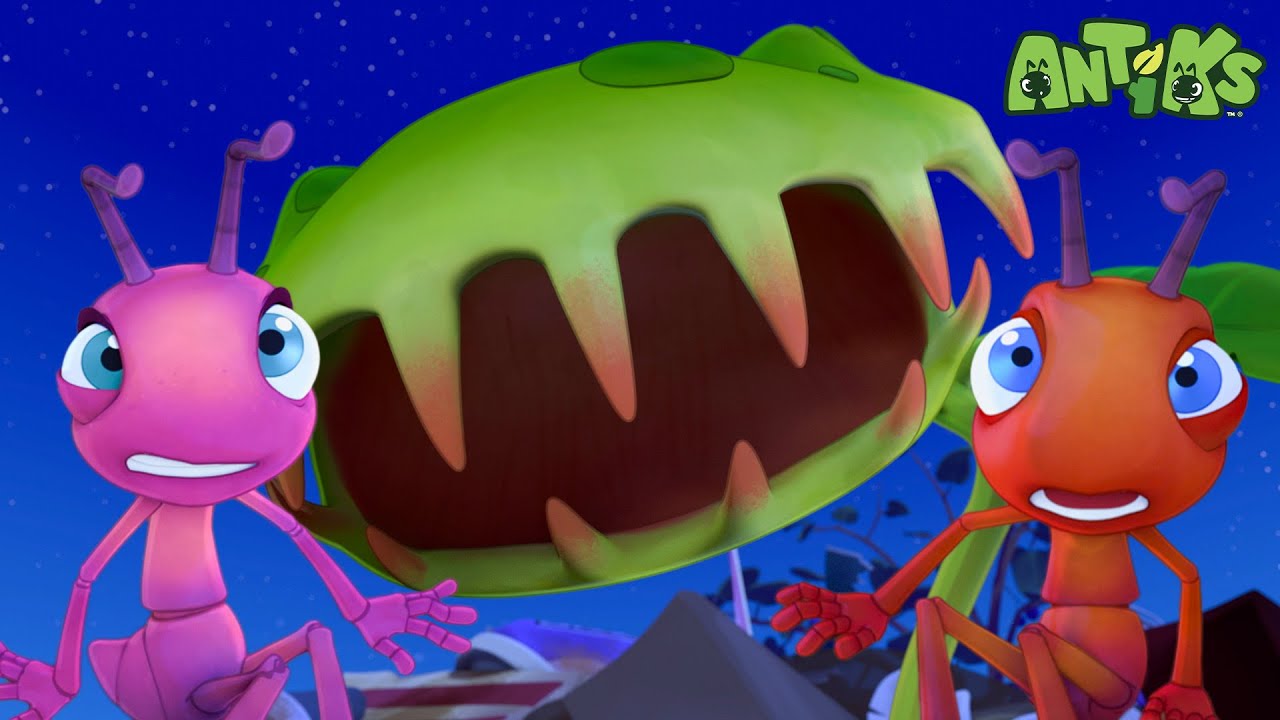 Hungry New Friend! | Antiks 🐜 | Funny Cartoons for Kids - YouTube