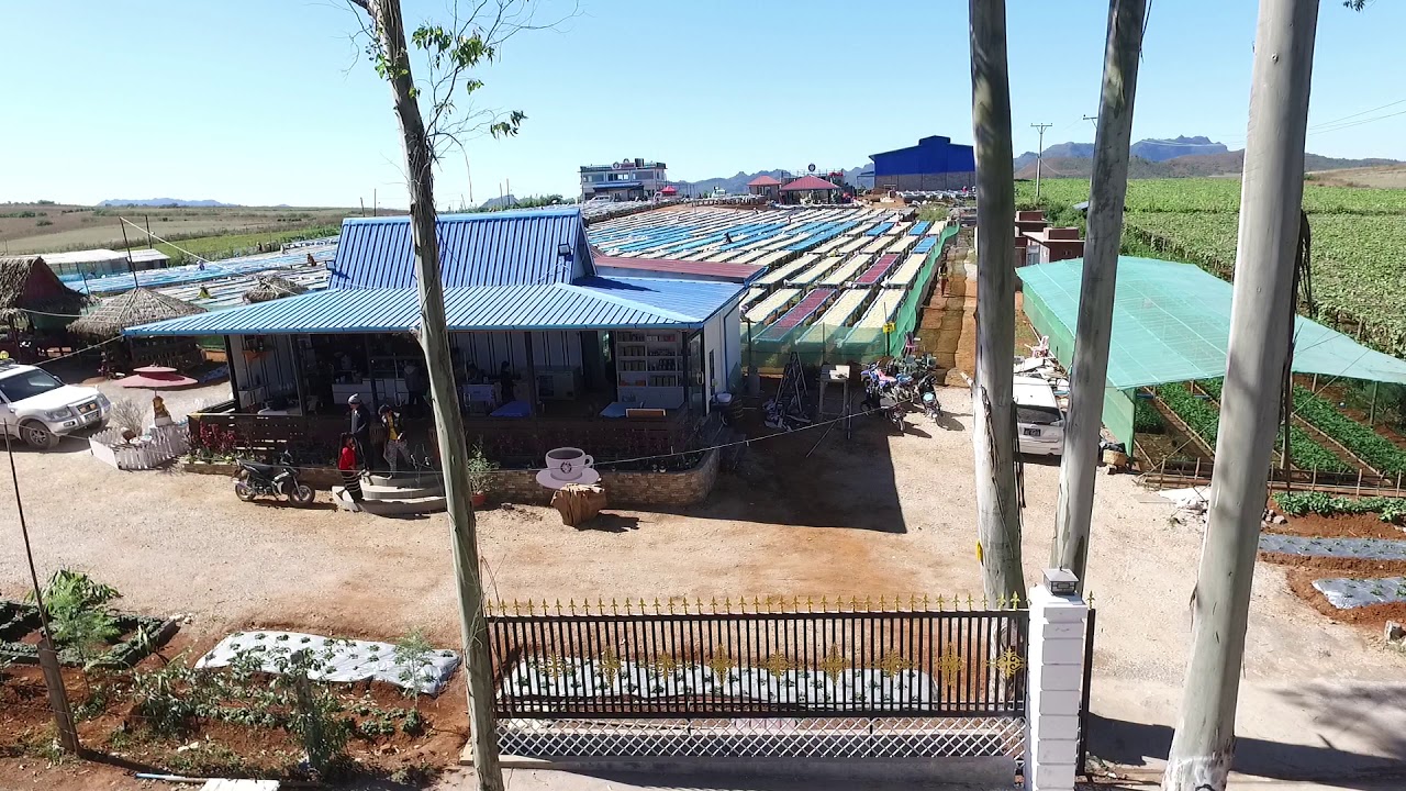 Genius Coffee Factory & Drying Table - YouTube