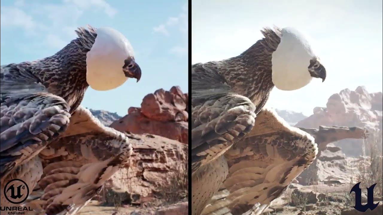 Meerkat Demo Comparison UE4 vs UE5.1 [LIGHTING STUDY] - YouTube