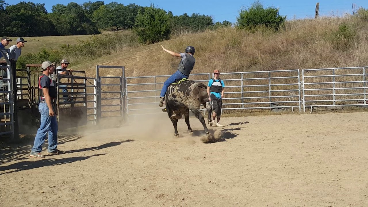Bull riding practice after cowboy church - YouTube