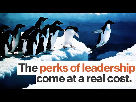 The Benefits of Being a Leader Are Real. But Are There Costs? With Simon Sinek  | Big Think