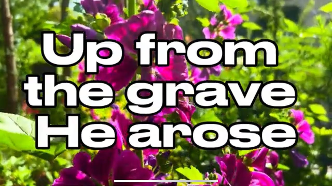 Up from the grave He arose #hymn #oldhymn - YouTube