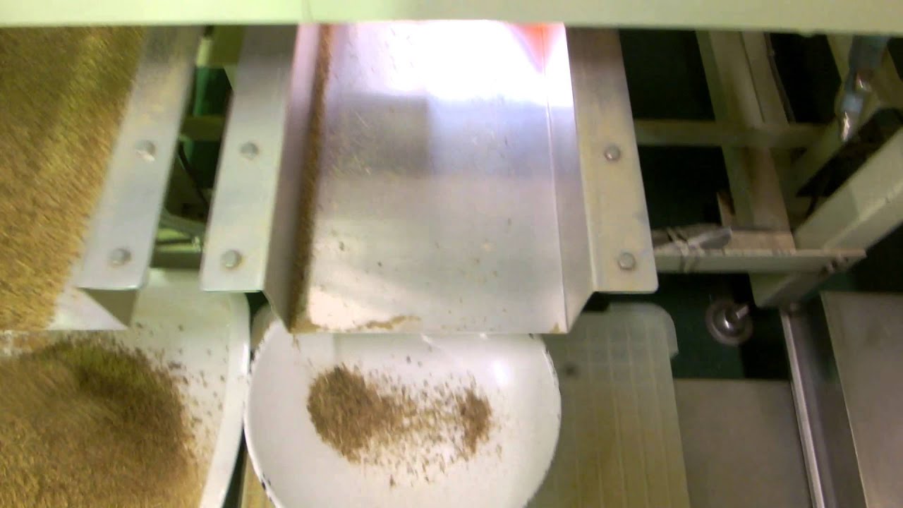 Oregano Sorting 30kg ตรวจจับเข้ม Sensitivity Low - YouTube