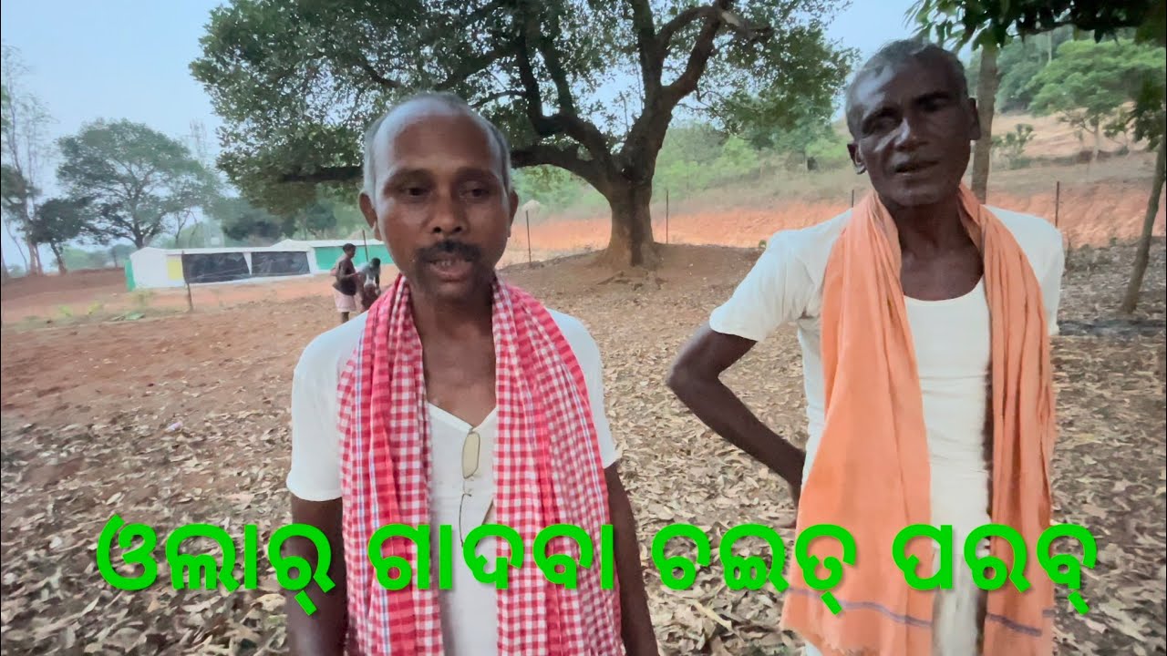 ଓଲ୍ଲାର୍ ଗାଦବା ଚଇତ୍ ପରବ୍ ।।Cultural Festival in Gadaba Tribe ...