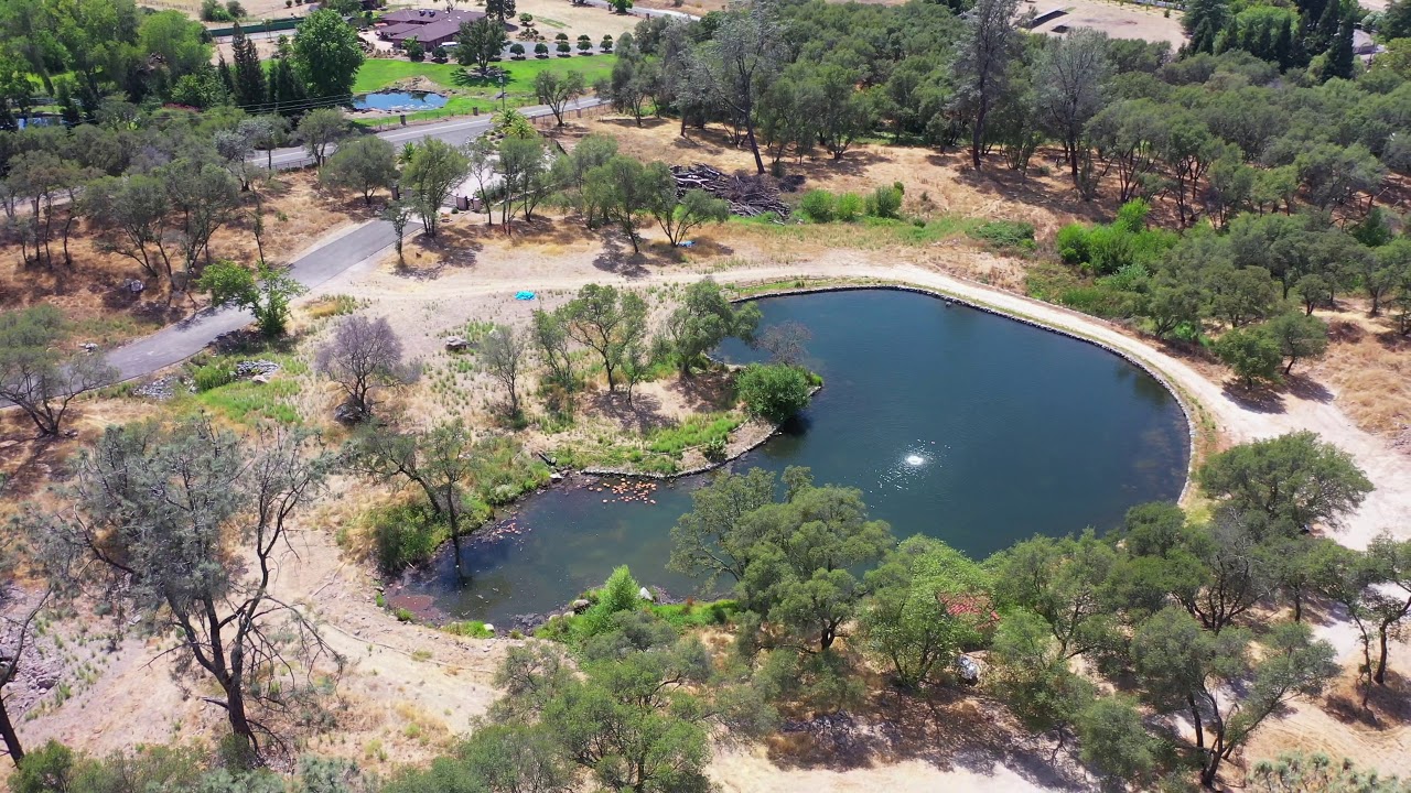 Twin Rocks Estate Winery Brief - YouTube