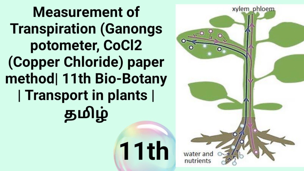 Ganongs potometer, CoCl2 paper method | 11th Botany | Transport in ...