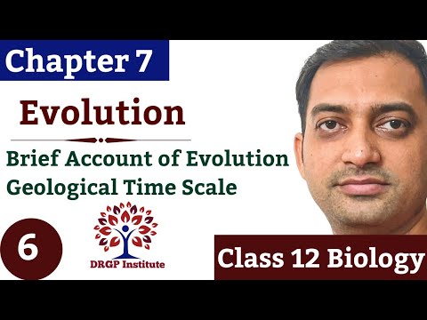 Brief Account of Evolution | Geological Time Scale | Chapter 7 ...