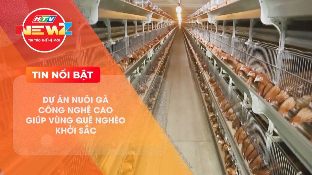 MEBI FARM: DỰ ÁN NUÔI GÀ CÔNG NGHỆ CAO GIÚP VÙNG QUÊ NGHÈO KHỞI SẮC ...