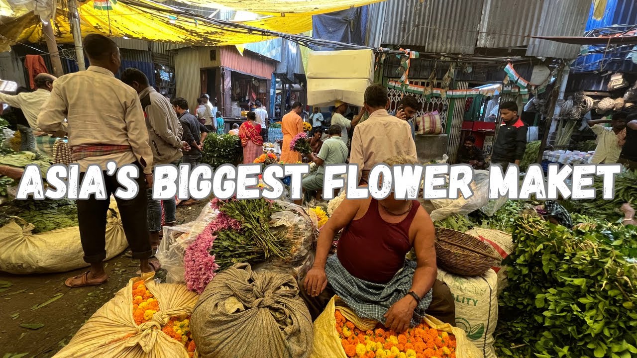 Exploring Asia’s Biggest Flower Market in Howrah | Mullick ghat Flower ...