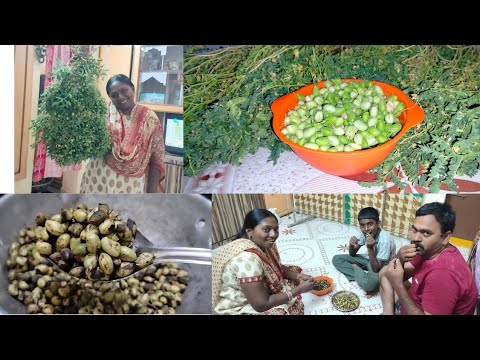 Friends మా వారూ polamlo pachhi shanaga buddalu తెచ్చాడు ela try chesanu ...