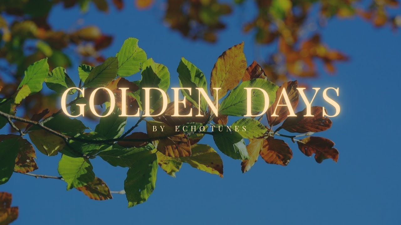 Best day of my life song 🎵 | Golden Days – Feel-Good Summer Vibes ...