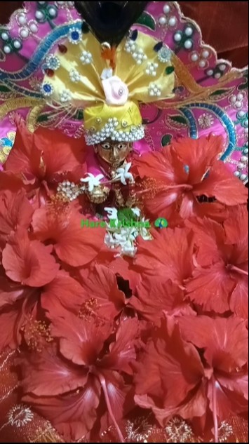 krishna ji ka phool se shringar 🌺🌼/Shyam - YouTube