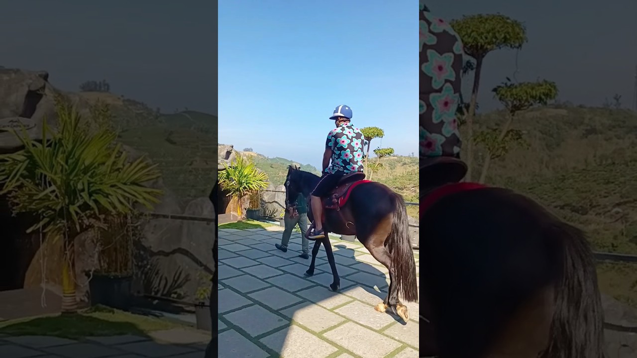 Jango nee arinjo njan pettu 😂 #pandippada #dileepettan #harisreeasokan ...