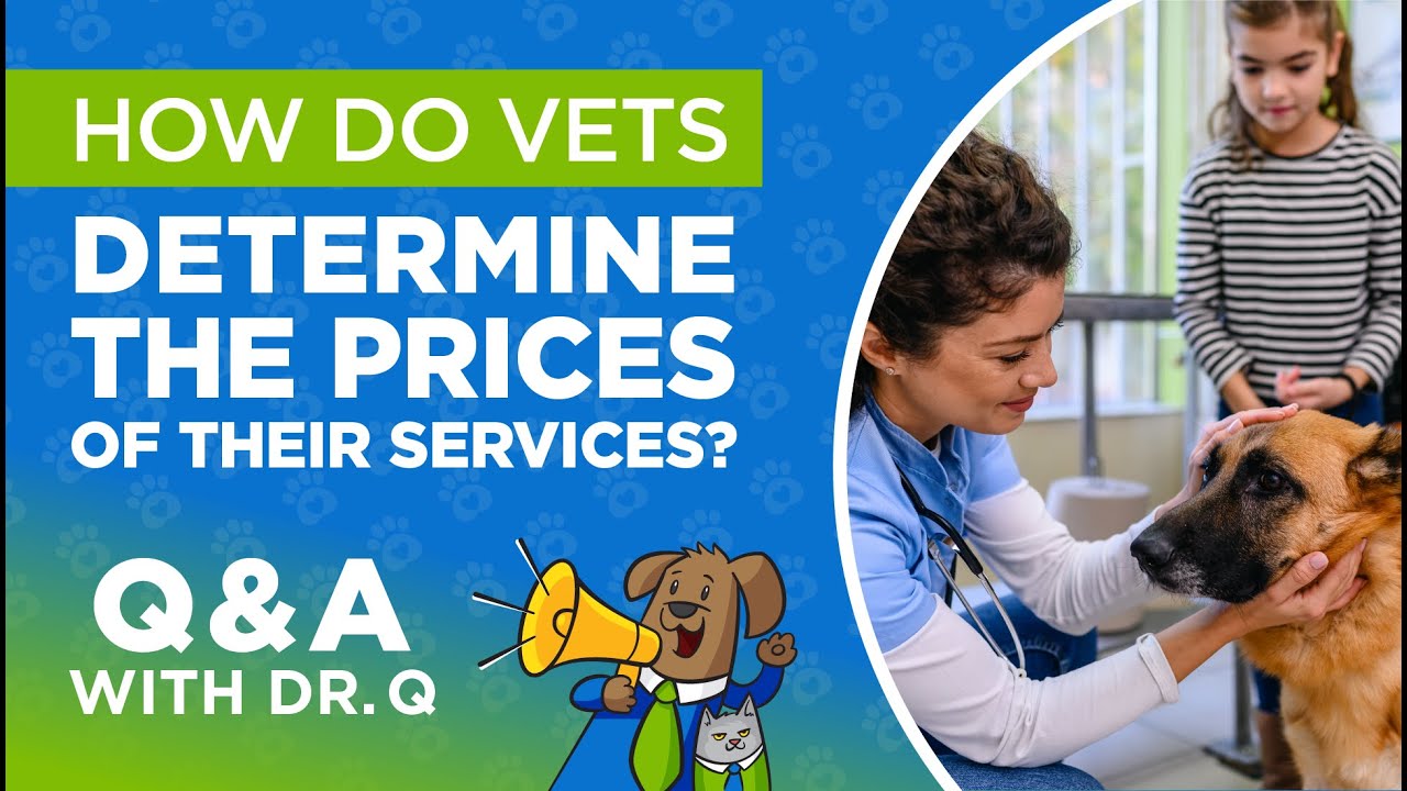 How do vets determine the prices of their services? | Q&A with Dr. Q ...