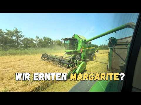 Wir dreschen Blumen und ernten Applaus