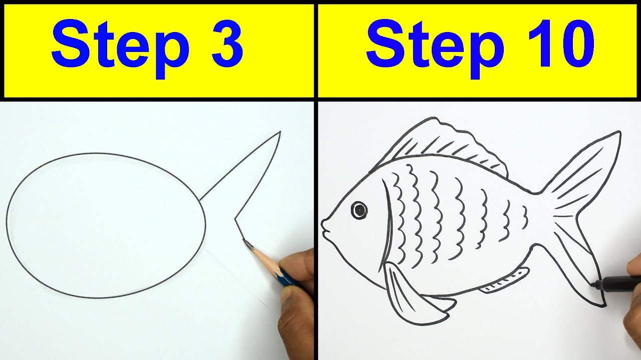 Fish Drawing for beginners : Step-by-Step Tutorial - YouTube