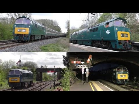 D1015 'Western Champion' and the 'One Way Wizzo' charter 14/04/24 - YouTube