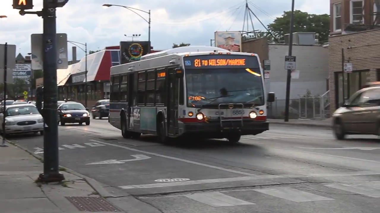 CTA Novabus LFS 6856 on Route 81 - YouTube