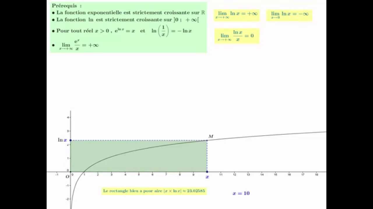 Cours de terminale S : Limites de la fonction logarithme népérien - YouTube