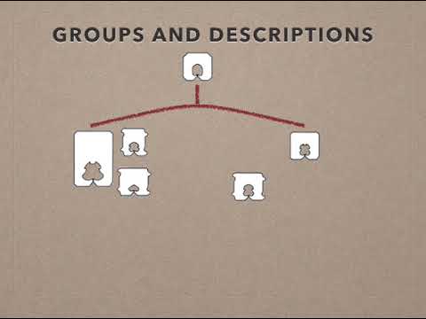 Occlupanid Classification - YouTube