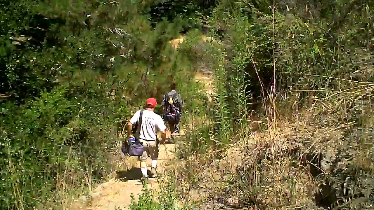 Birdie Hole 12 @ Delaveaga Disc Golf course, Santa Cruz - YouTube