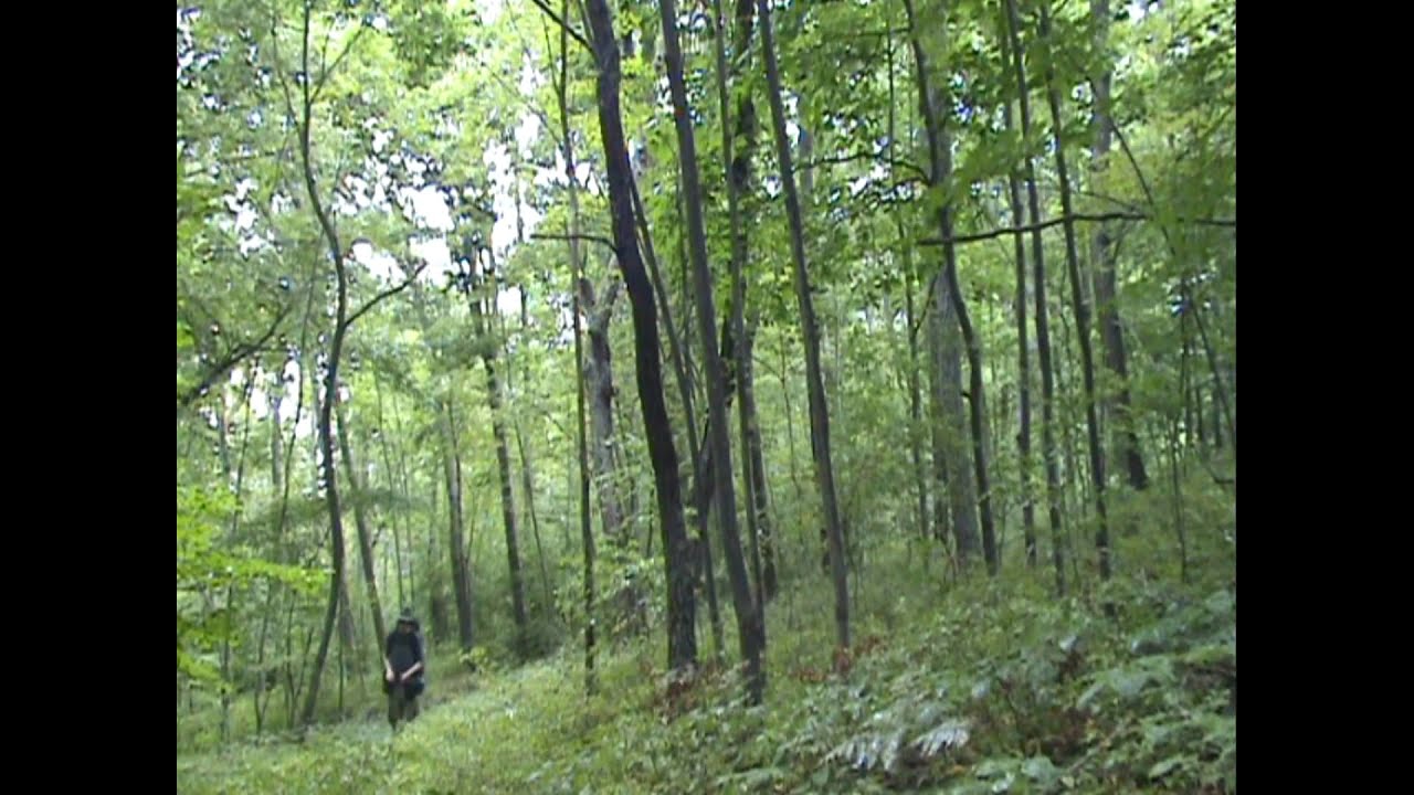 Hiking with Axel: Thunder Swamp Trail System - YouTube