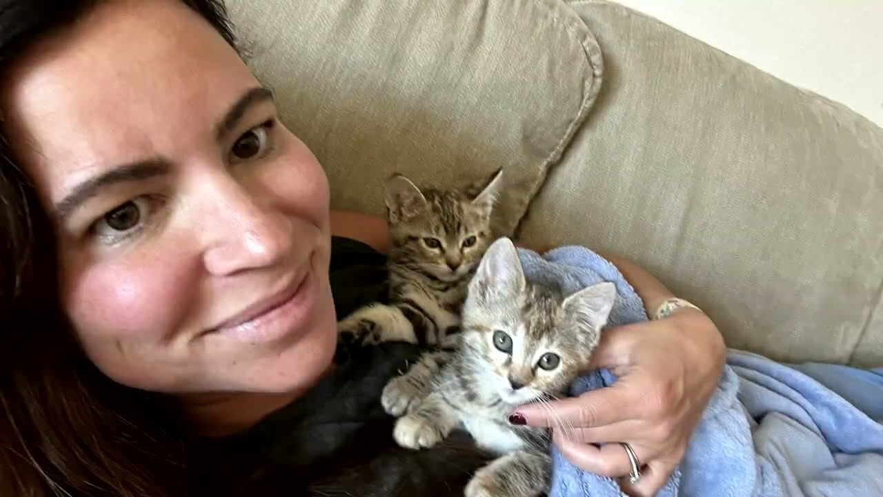 Santa Cruz SPCA's Foster Program - YouTube