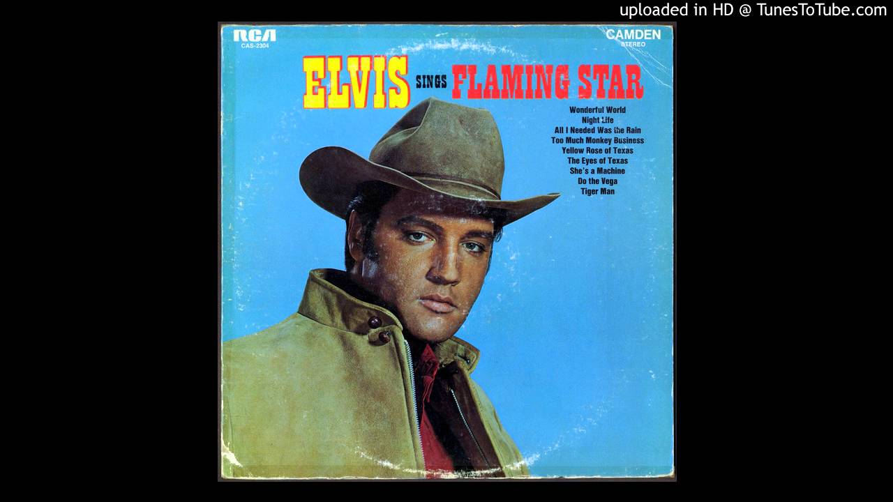 Elvis Presley - Tiger Man (Vinyl) - YouTube