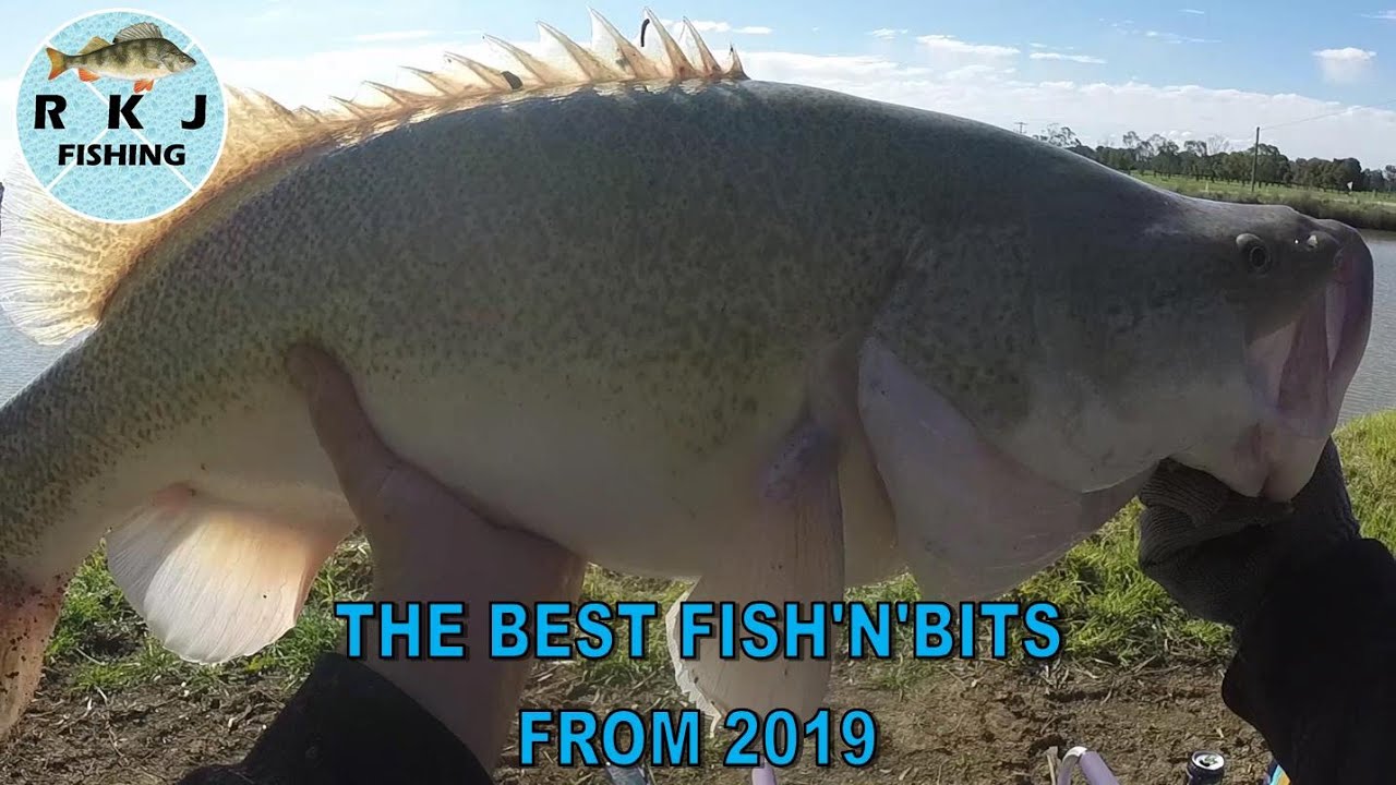 RKJ Fishing "2019 Rewind" - The best fish'n'bits from last year - YouTube