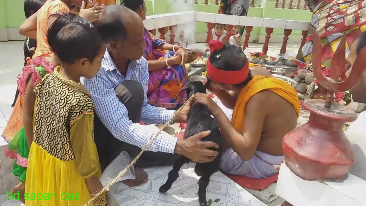 Patha boli ,কালী পুজায় পাঠা বলি Kali Puja Patha boli kali puja - YouTube