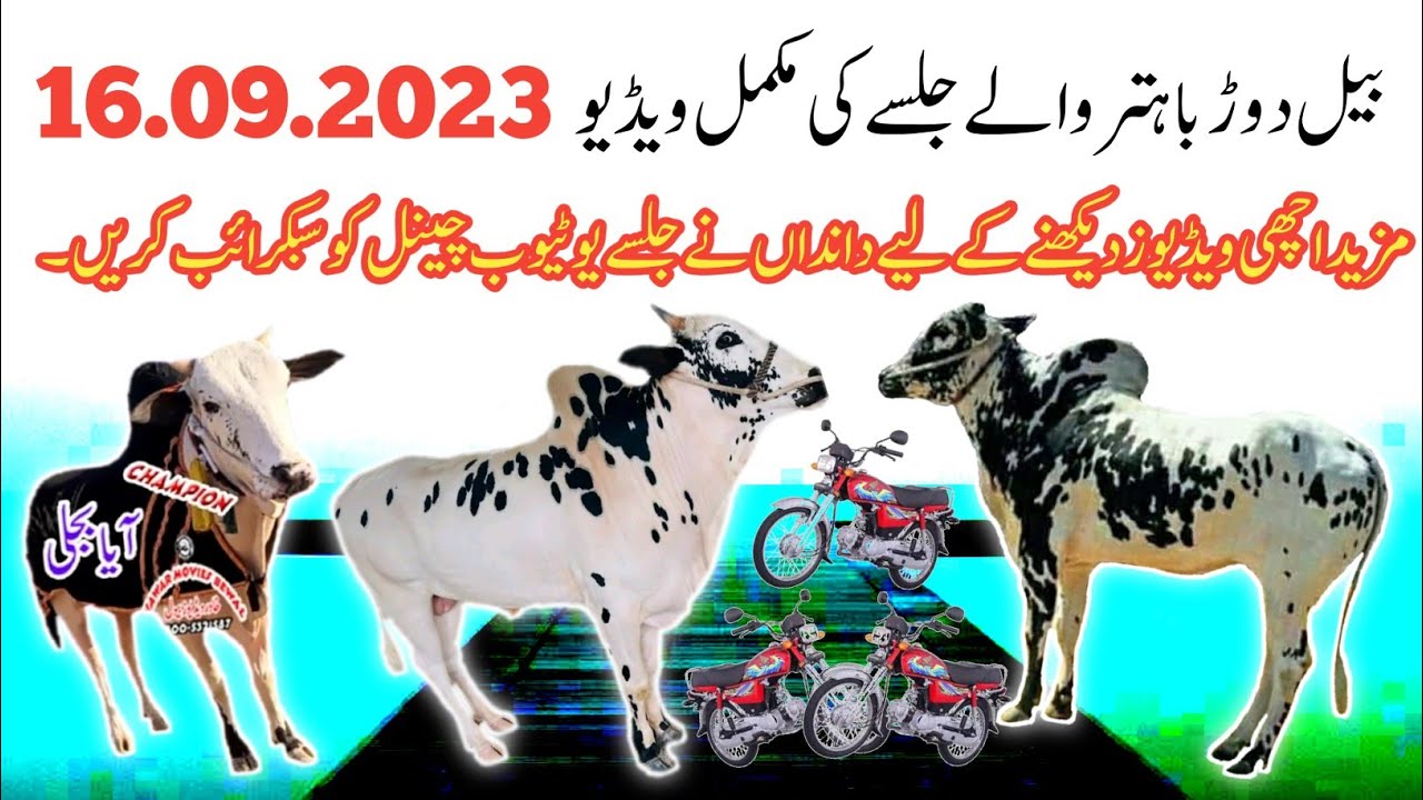 Bull Race In Pakistan | Bhatar Jalsa | 16.09.2023 | Bull Race In ...