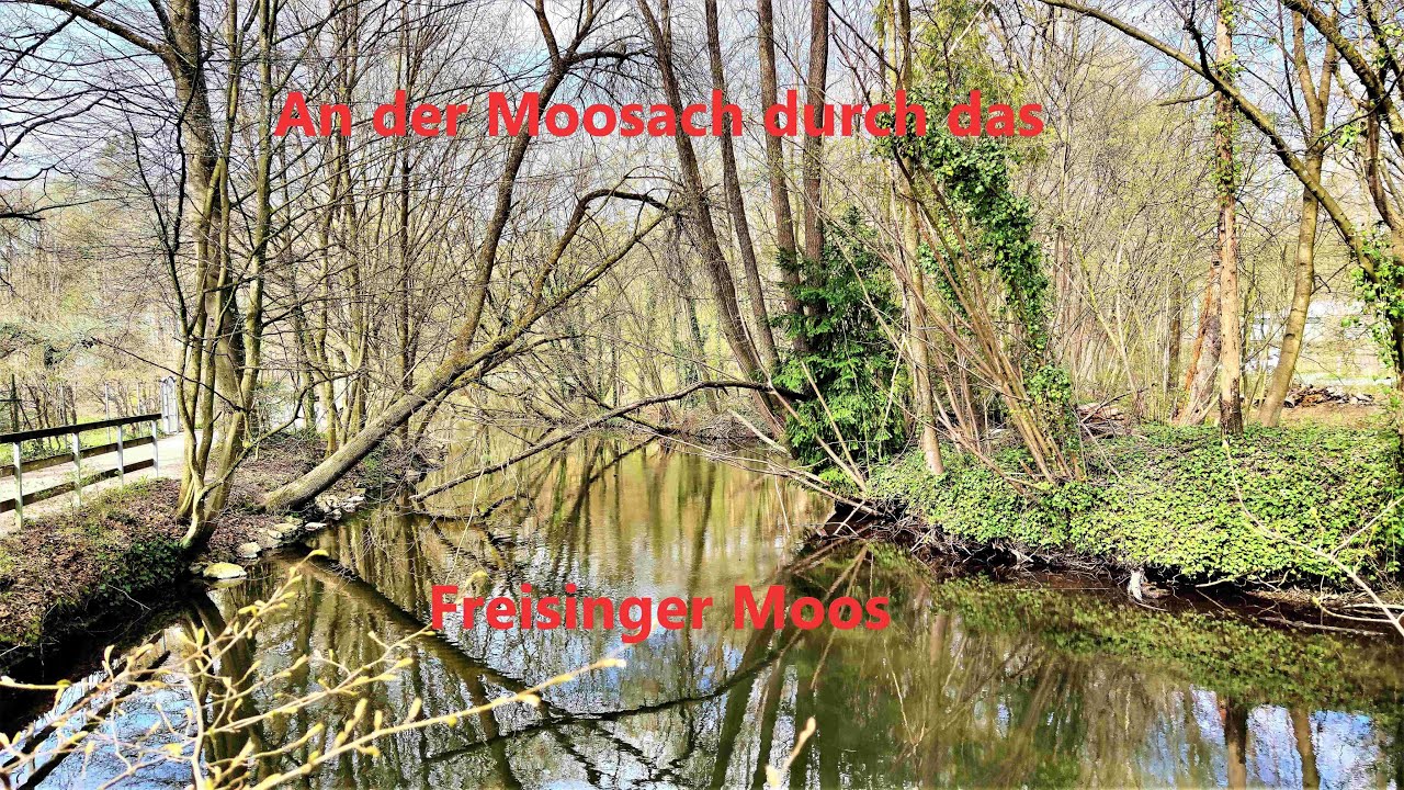 Wandern in Bayern - An der Moosach durch das Freisinger Moos(2021, 4k ...