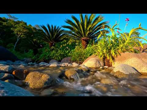 Gentle Water Flow for Dreamy Rest - YouTube