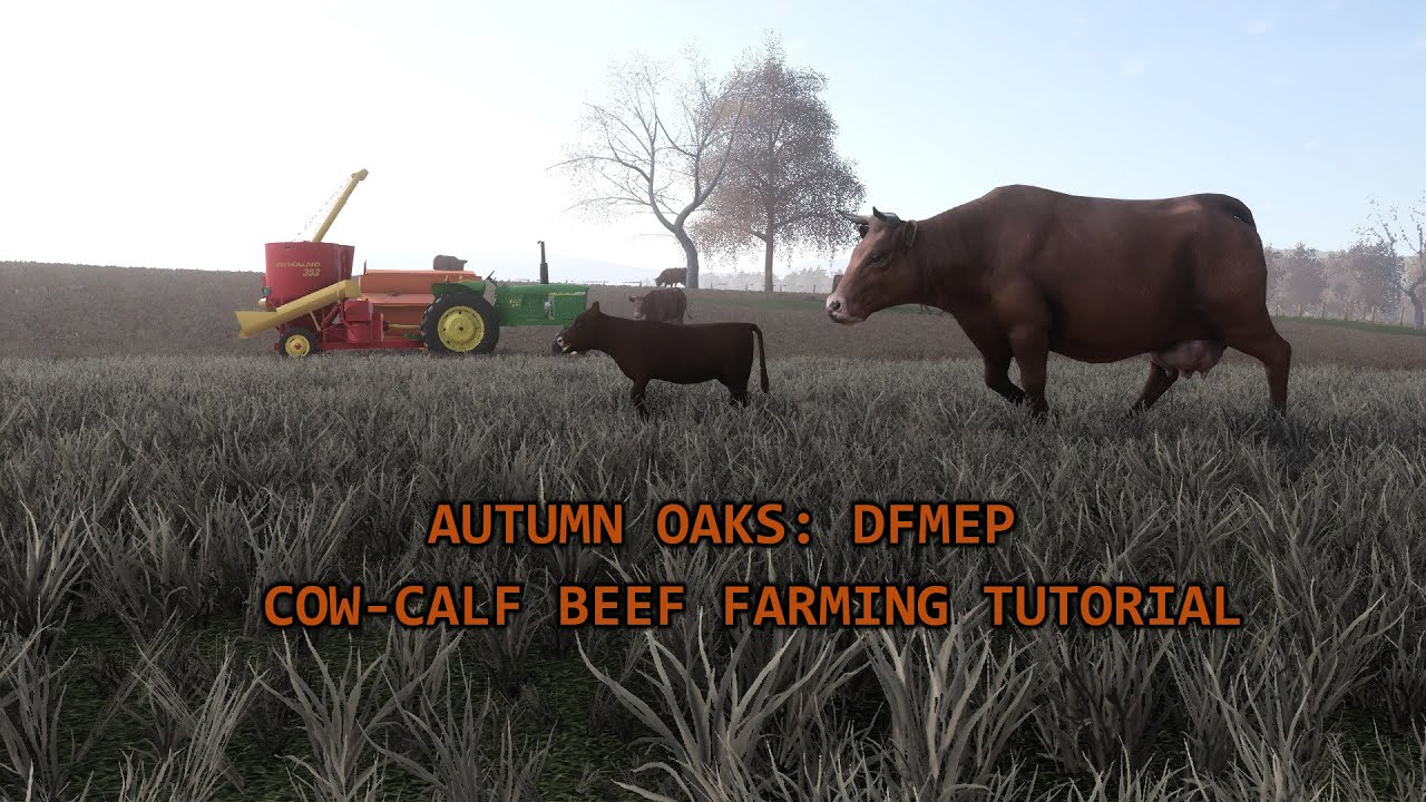 Autumn Oaks DFMEP: Cow-Calf Beef Farming Tutorial - YouTube