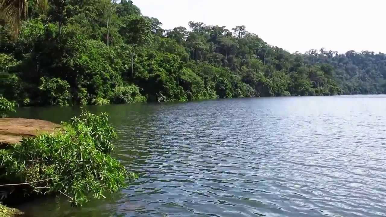 Barombi Mbo (360 degree view) - YouTube