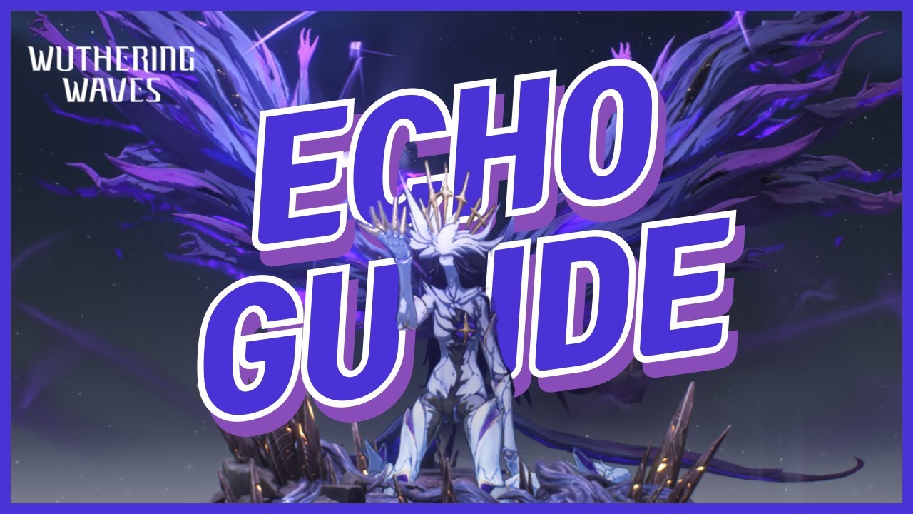 Basic Guide for the Echo system | Wuthering Waves - YouTube