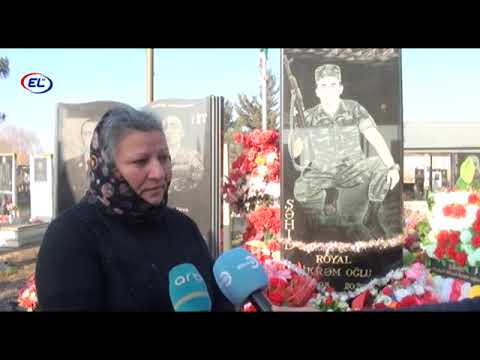 şehid Ceferli Royal ARB TV