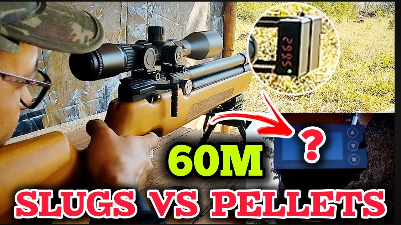 Slugs vs Pellets a 60 metros: Quem ganha? - YouTube