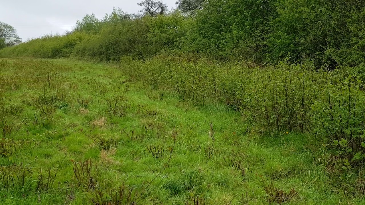 Perfect grow site for guerilla growing - YouTube