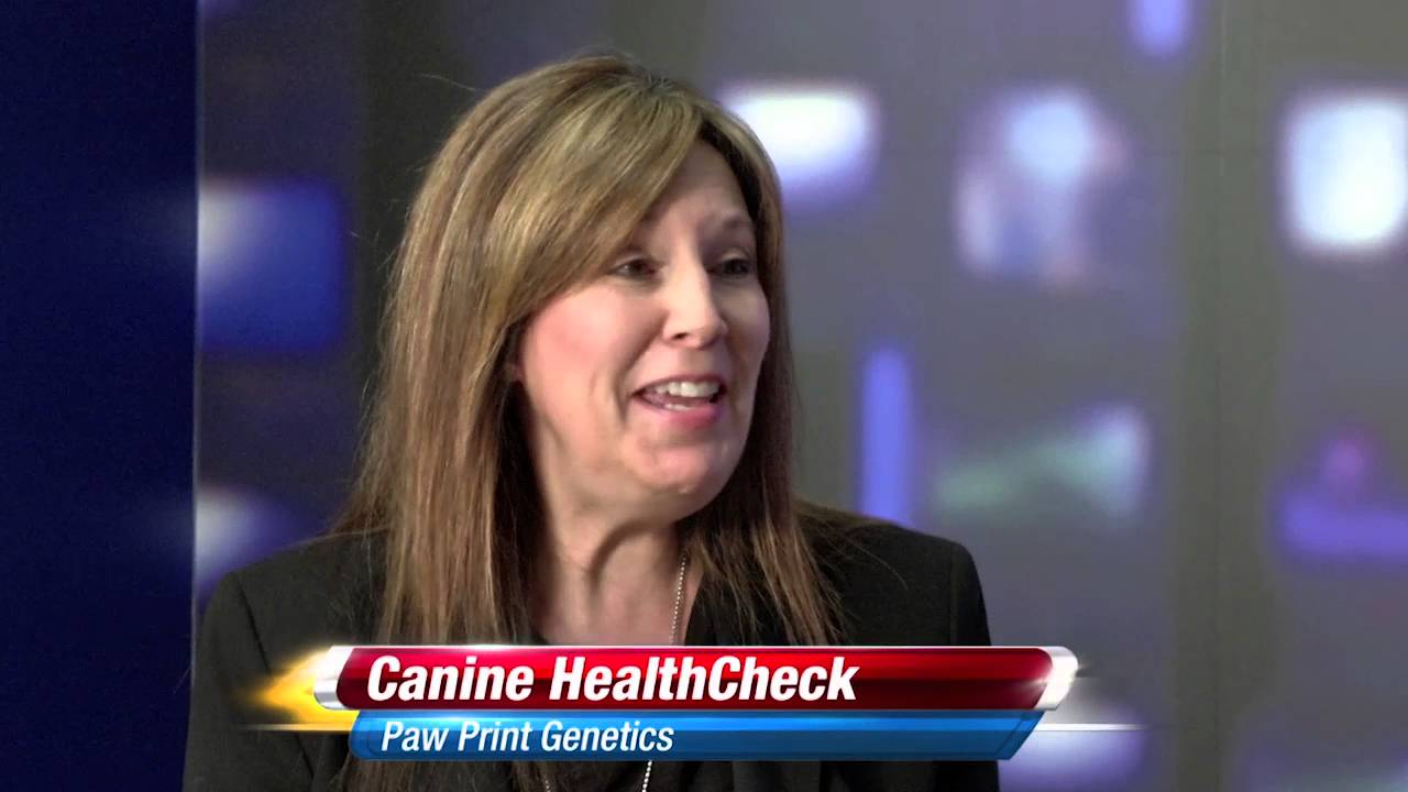 Fox28 Good Day Spokane 1 - YouTube