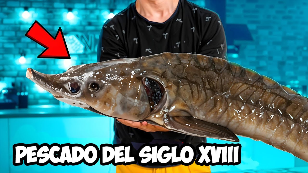 Se preparó una sopa real de pescado del siglo XVIII a partir de una ...