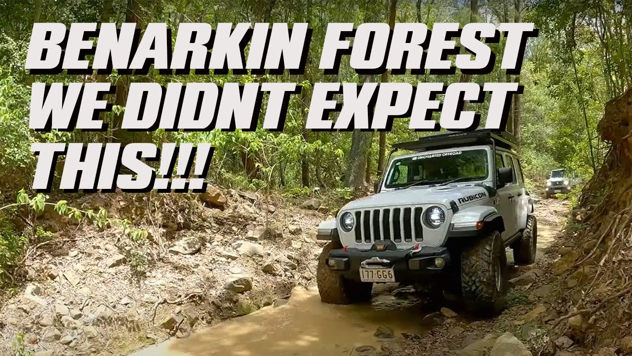 The Best Kept Secrets of Benarkin State Forest - A Hidden Gem! - YouTube