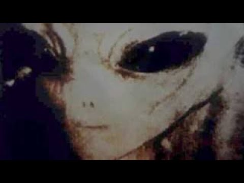 Dan Burisch Area 51 Alien J Rod Seg #3 - YouTube