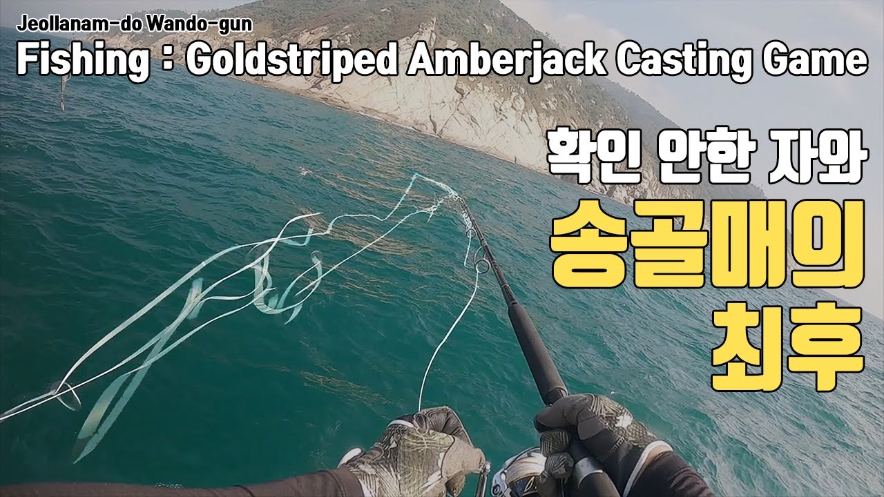 하야부사가 주것습니다 - Goldstriped Amberjack Casting Game - 빅게임 캐스팅 게임 - YouTube