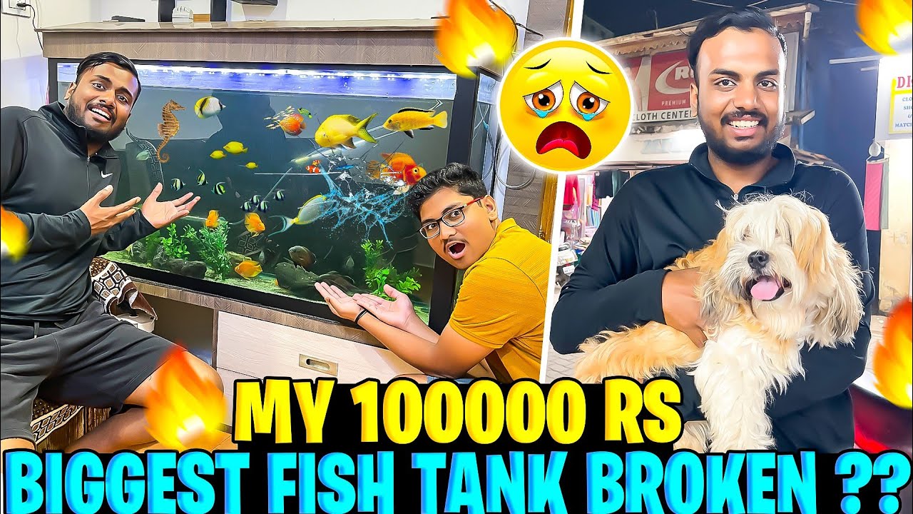 My 100000 Rs Biggest Tank Broken 💔 Cleaning My Fish Tank For First Time ...